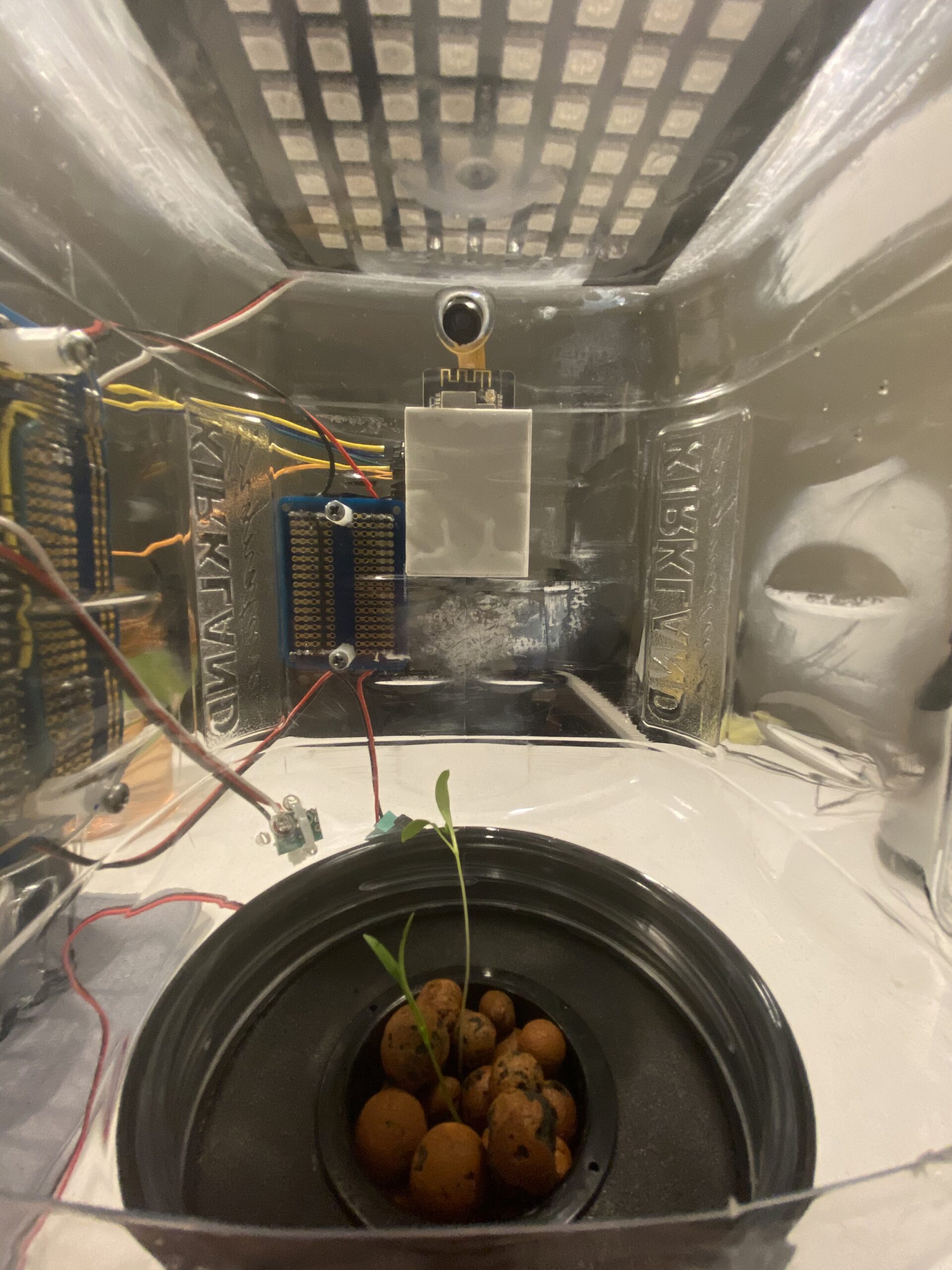 IoP “Internet of Plants” - Senior Design Day
