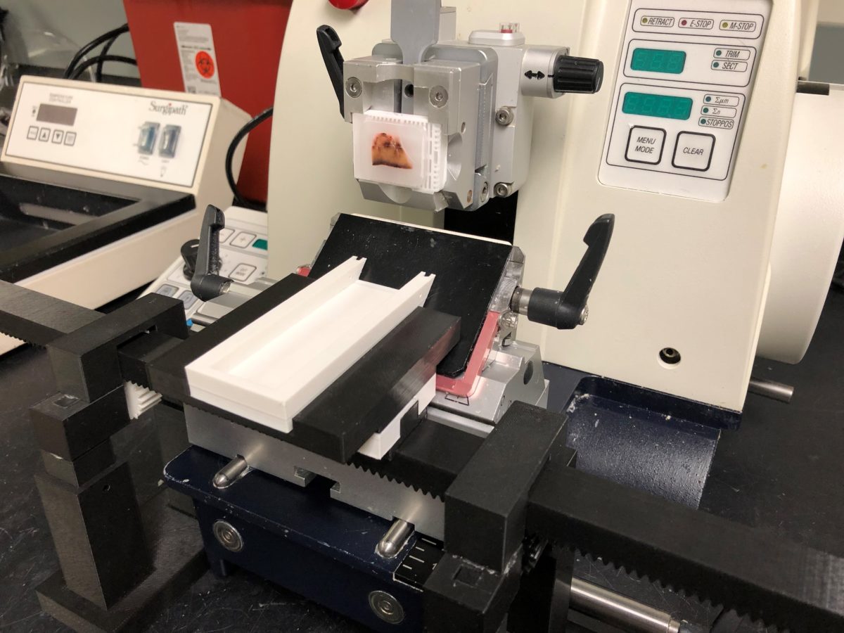 Automated Histology - Senior Design Day