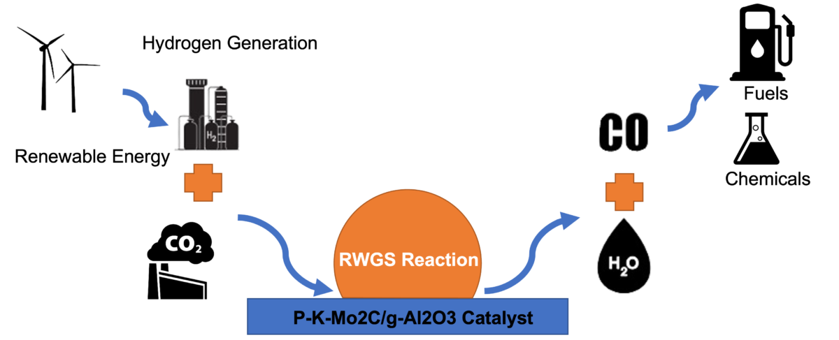 Designing a Packed Bed Reactor for Academic Experimentation - Senior ...