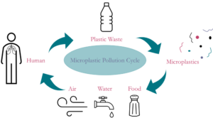 Using Raman Analysis to Identify Microplastics in Environmental Samples ...