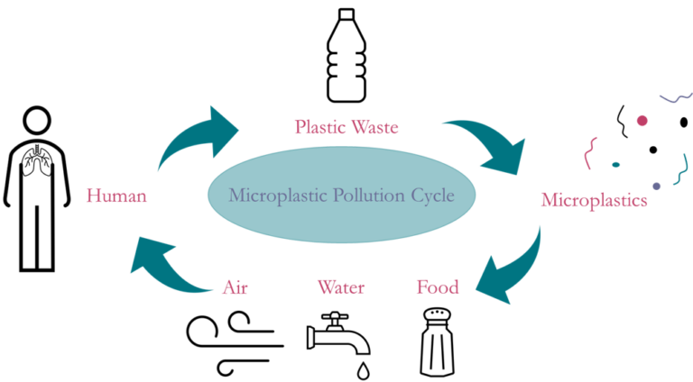Using Raman Analysis to Identify Microplastics in Environmental Samples ...