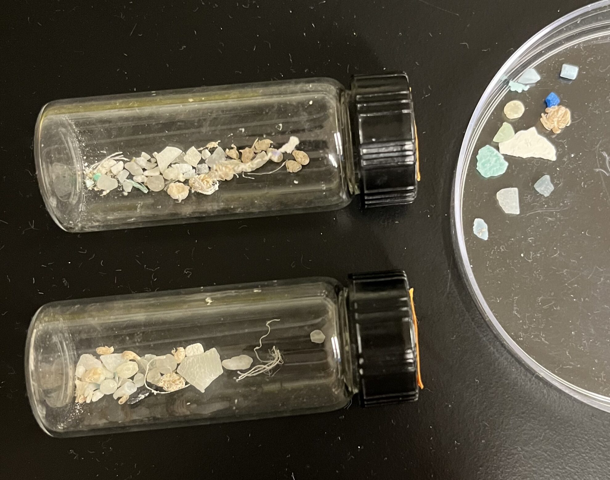 Using Raman Analysis to Identify Microplastics in Environmental Samples ...
