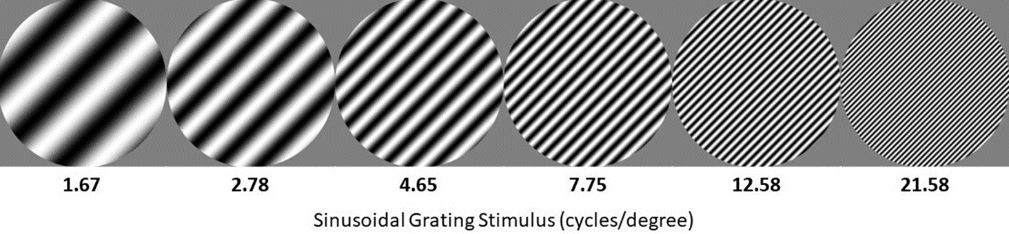 Adaptive Optics Simulation of Multifocal Contact Lenses - Senior Design Day